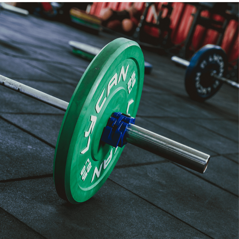 Lock Jaw Collars - Lycan Fitness