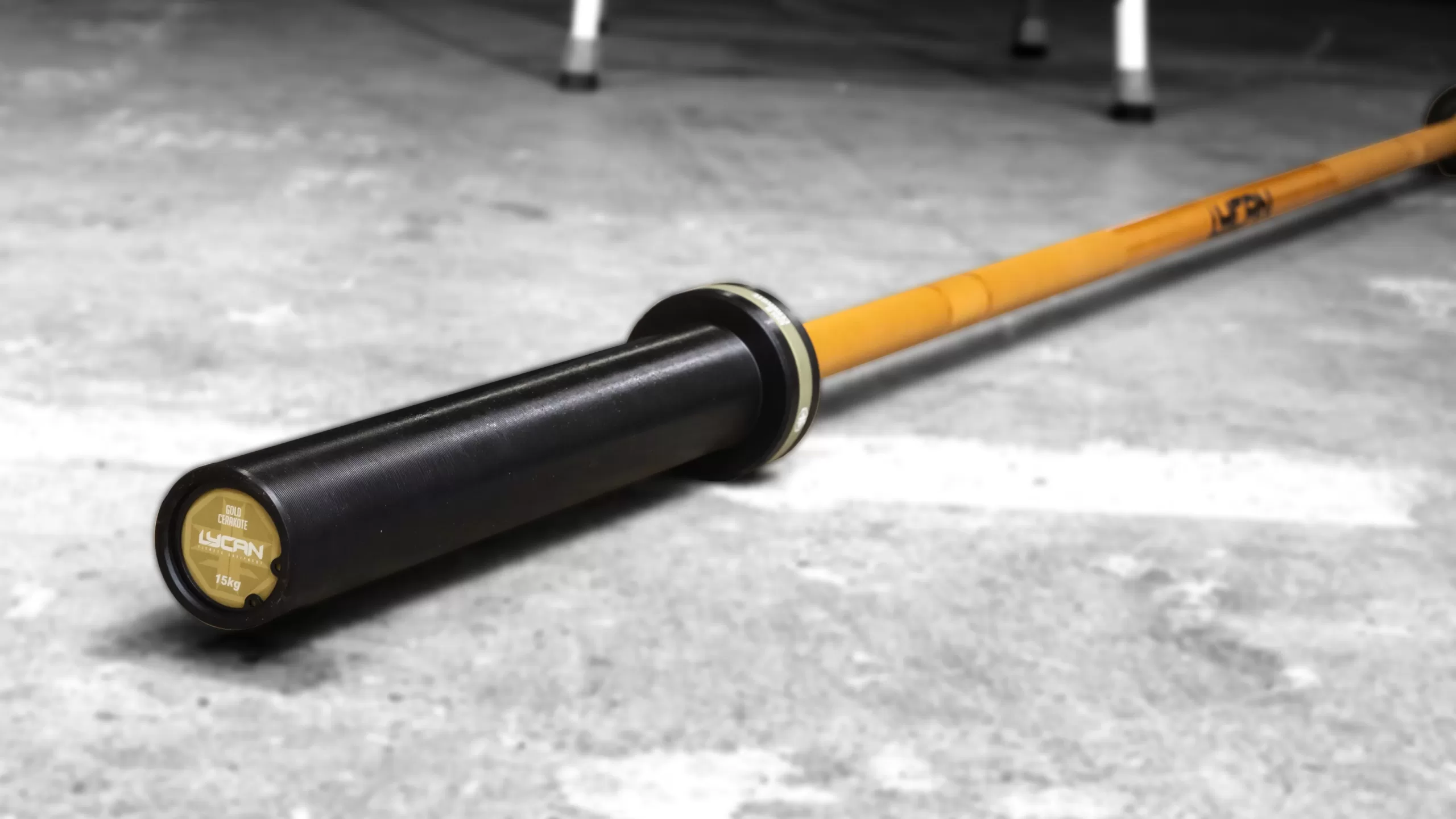 Barbell Benefits to Start Hitting the Weights - Lycan Fitness